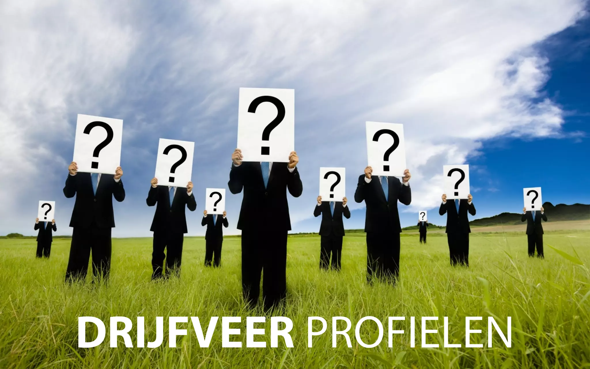 Drijfveren profielen | PDF