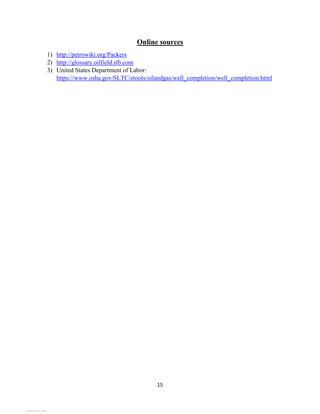 Drill stem testing | PDF