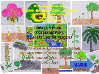 powerpoint PBK | PPTX