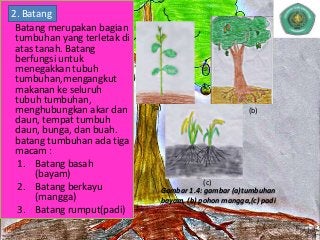 powerpoint PBK | PPTX