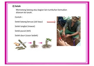 DRILLING PEKAN 5 PERKEMBANG BIAKAN TUMBUHAN DAN HEWAN.pdf
