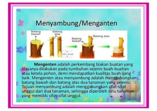 DRILLING PEKAN 5 PERKEMBANG BIAKAN TUMBUHAN DAN HEWAN.pdf
