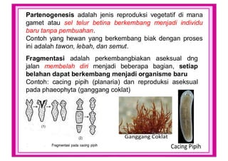 DRILLING PEKAN 5 PERKEMBANG BIAKAN TUMBUHAN DAN HEWAN.pdf