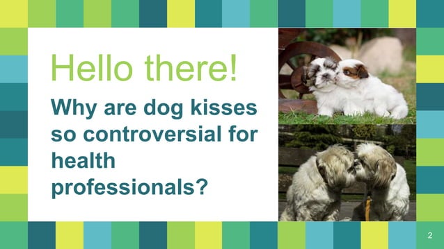 Subject-Verb Agreement with Intervening Phrases | PPTX