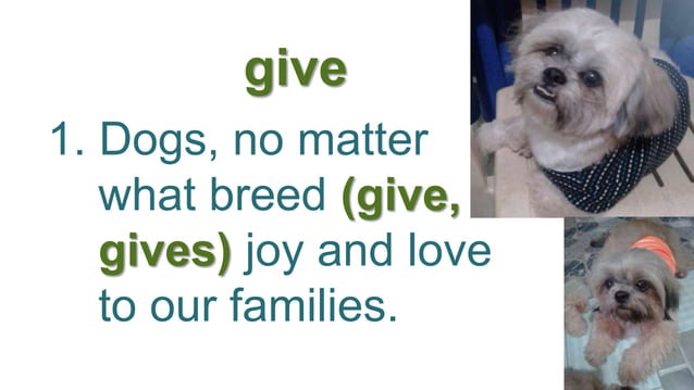 Subject-Verb Agreement with Intervening Phrases | PPTX