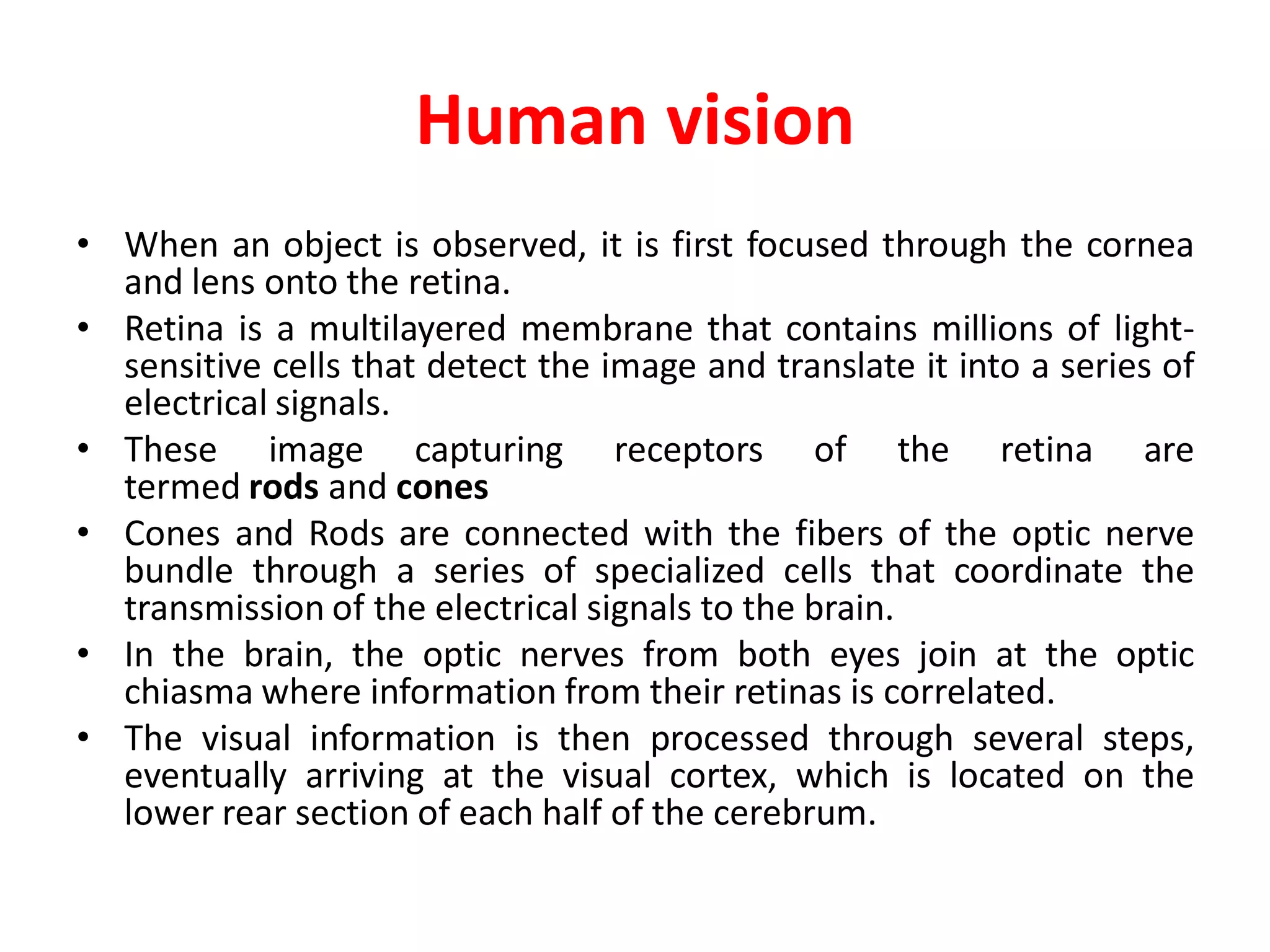 Elements of visual perception | PDF