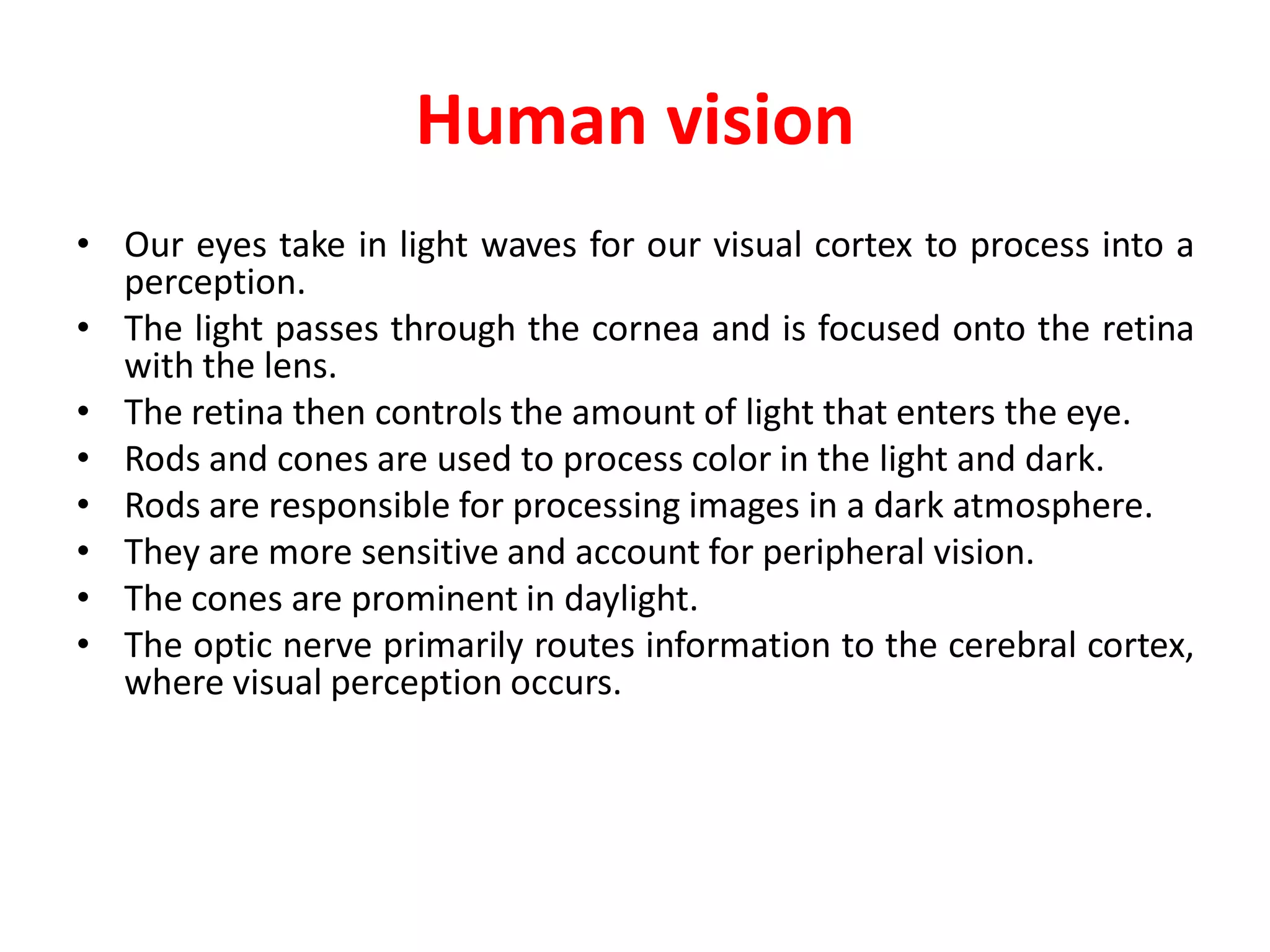 Elements of visual perception | PDF