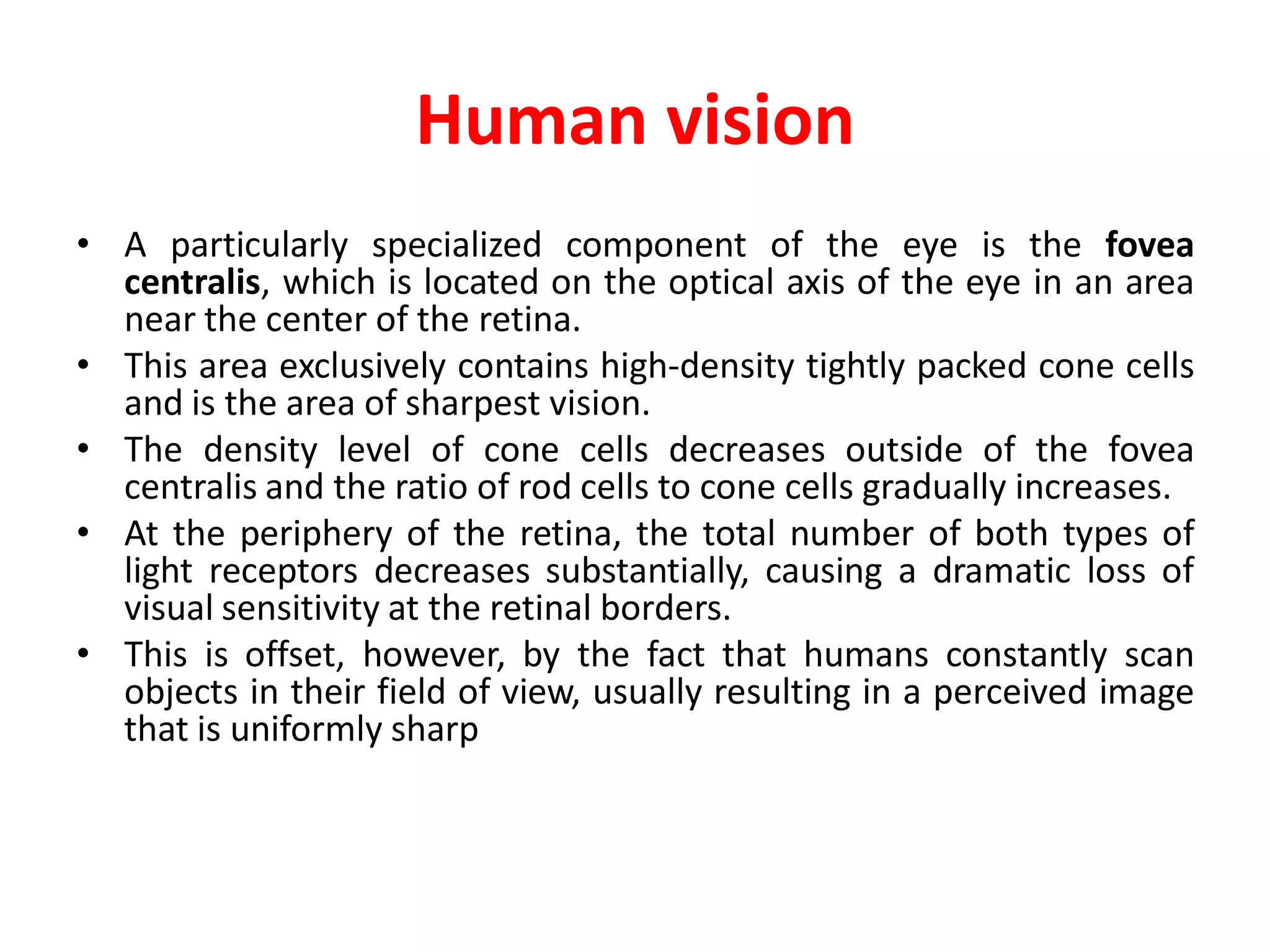 Elements of visual perception | PDF