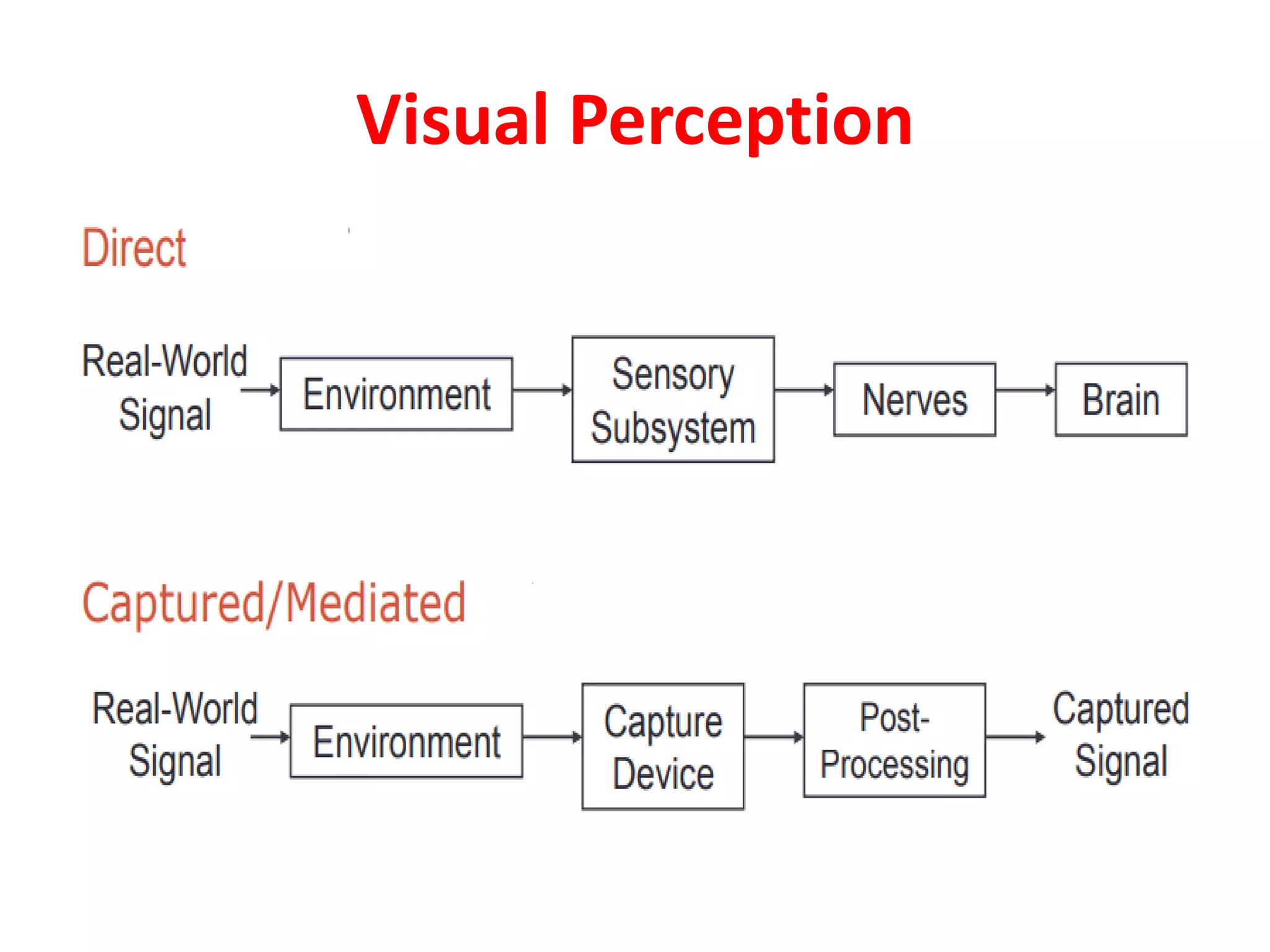 Elements of visual perception | PDF