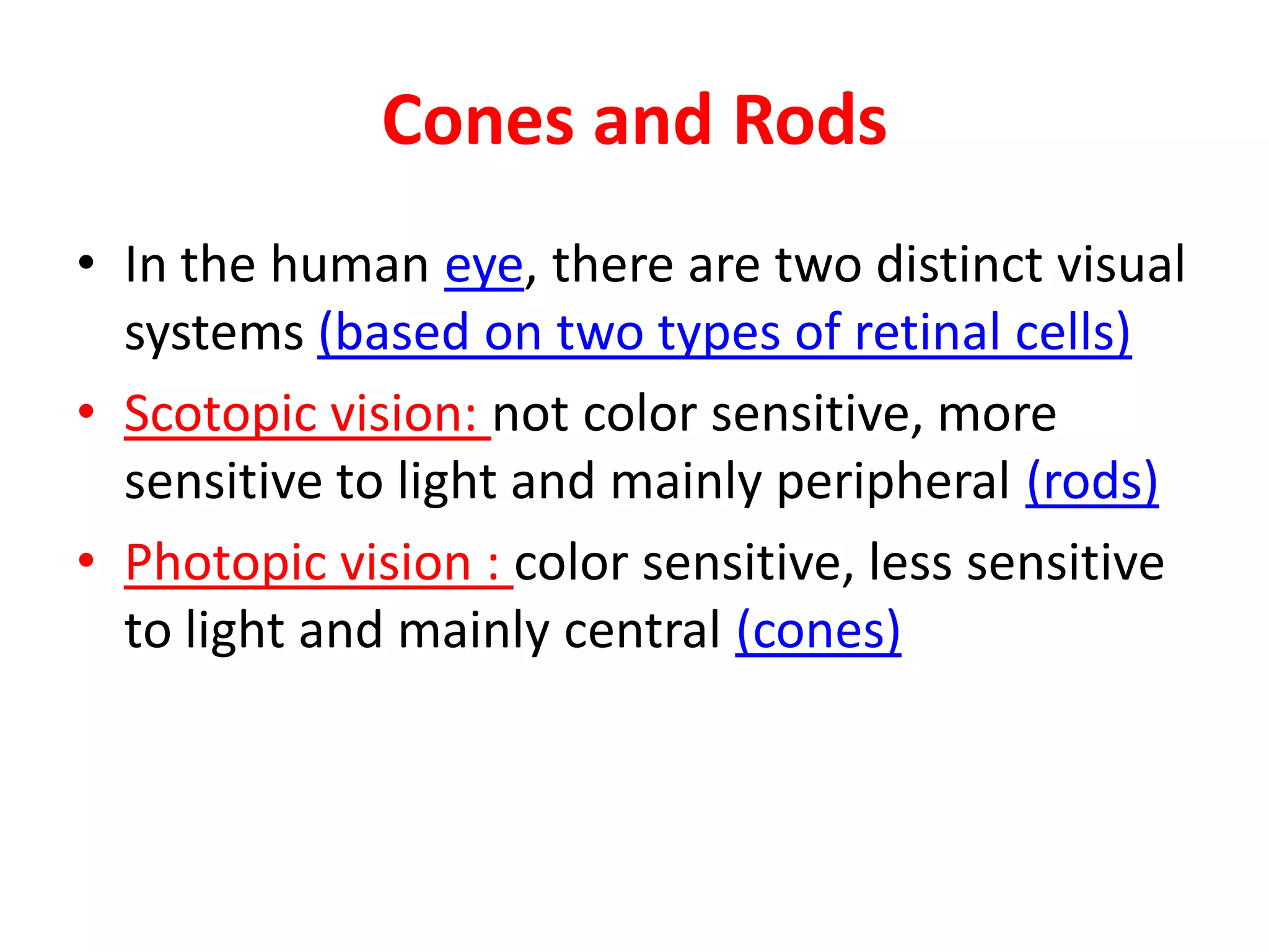Elements of visual perception | PDF