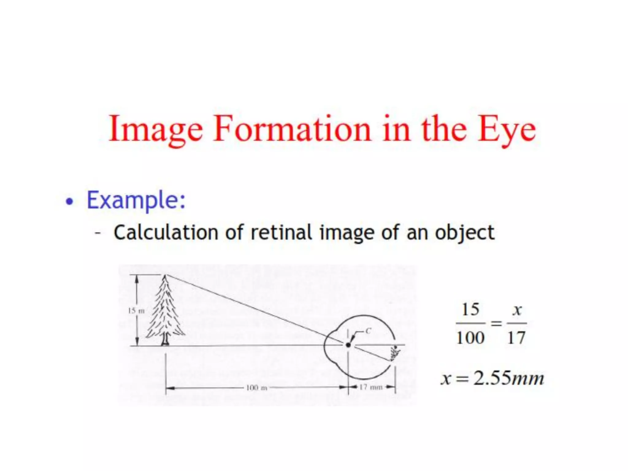 Elements of visual perception | PDF