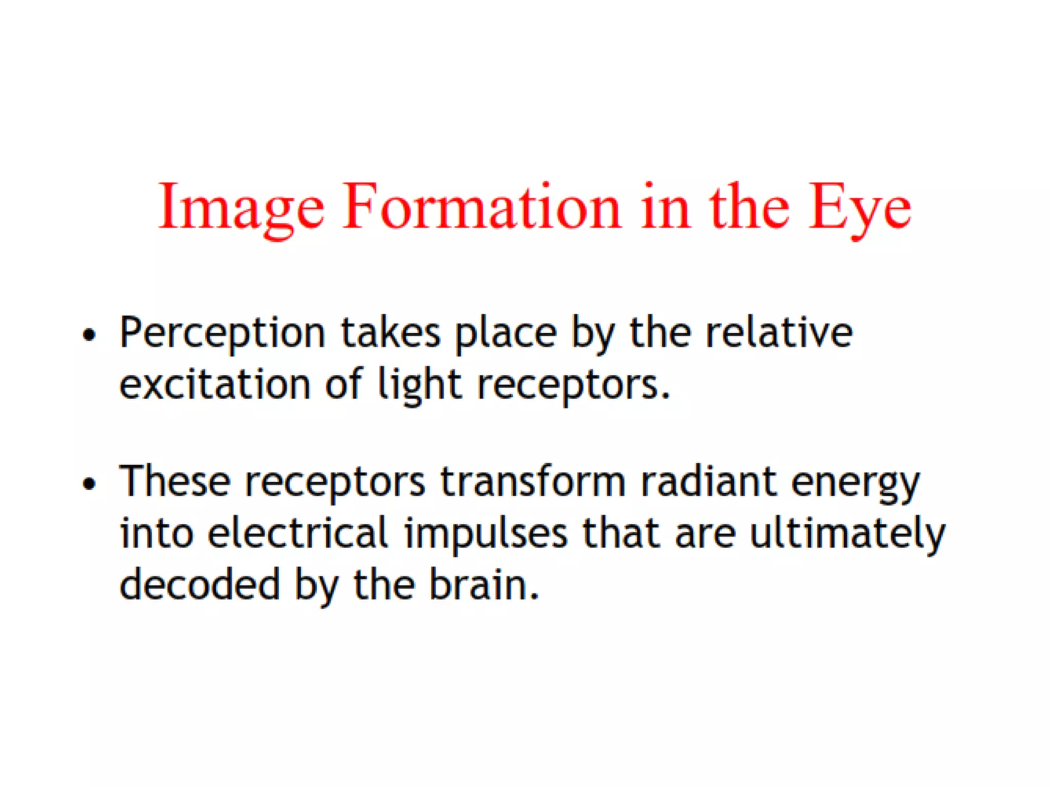 Elements of visual perception | PDF
