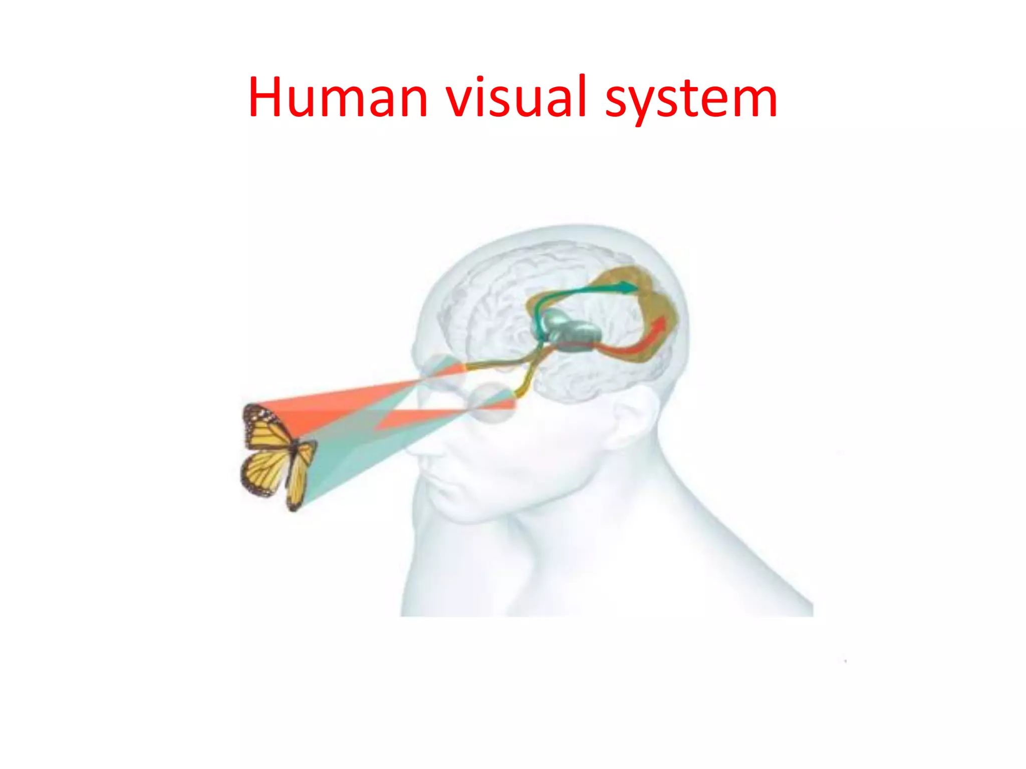 Elements of visual perception | PDF