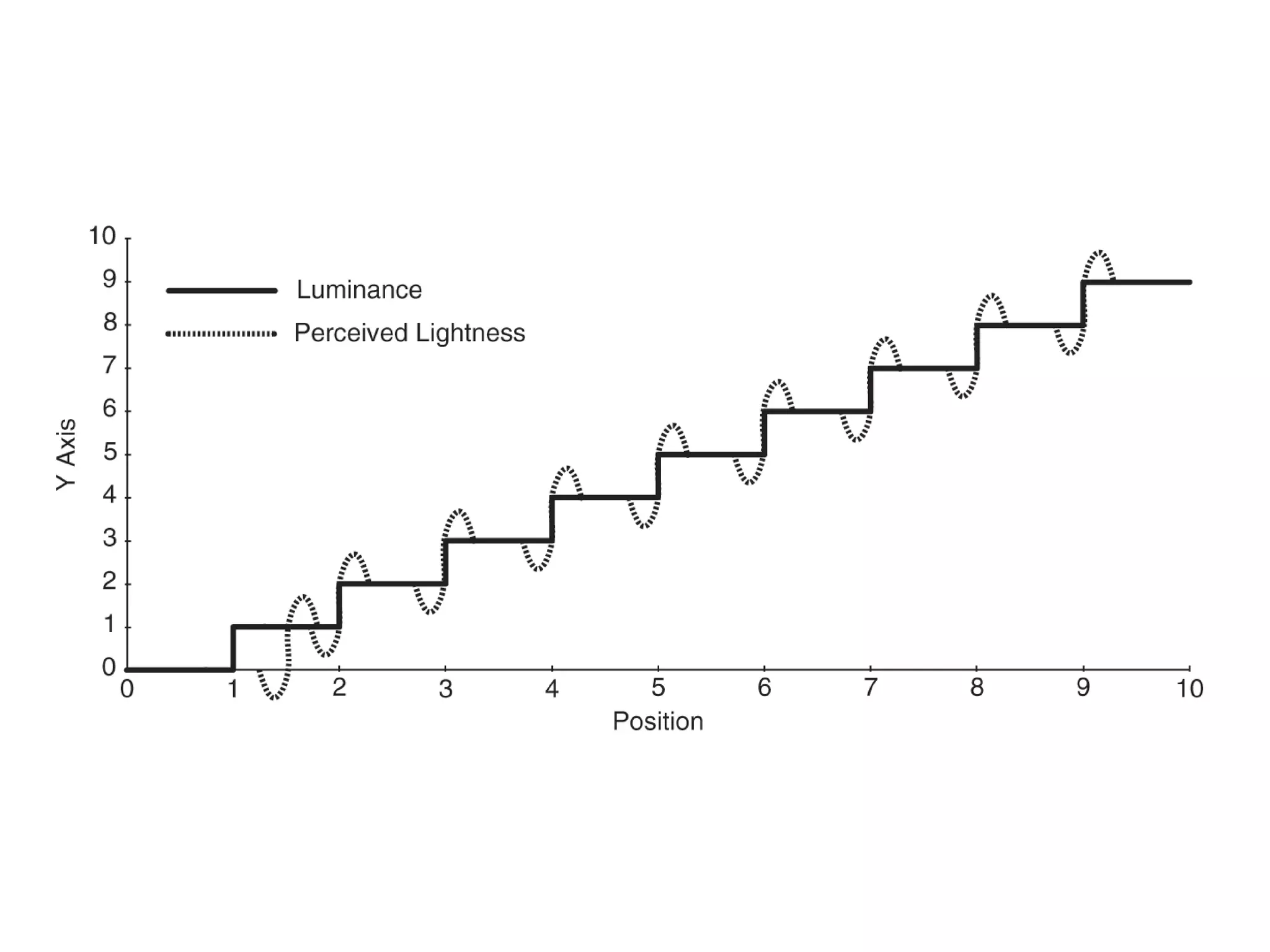 Elements of visual perception | PDF