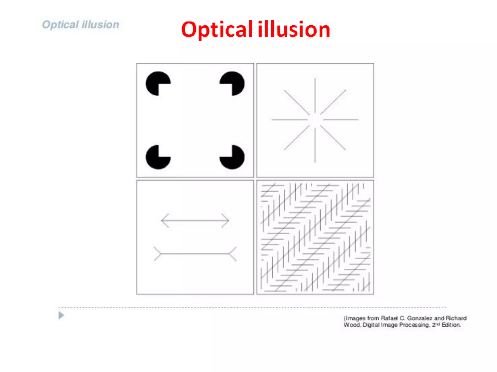 Elements of visual perception | PDF