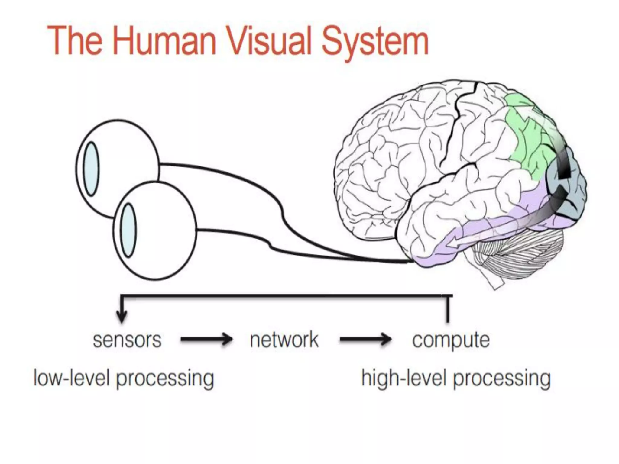 Elements of visual perception | PDF