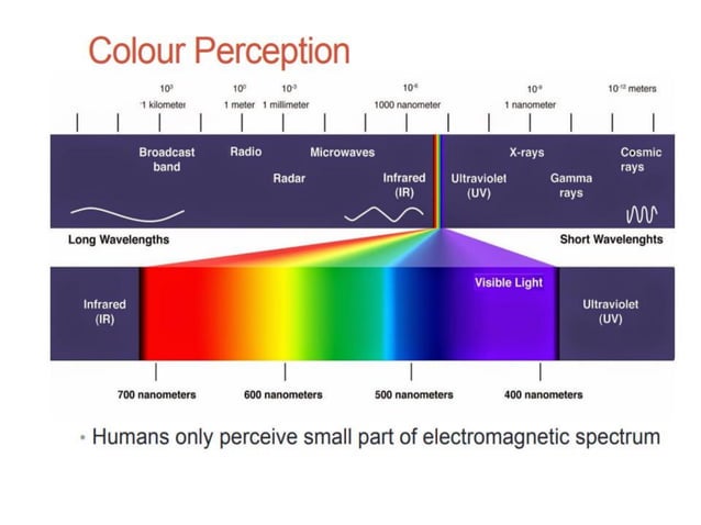 Elements of visual perception | PDF | Eye and Vision Conditions ...