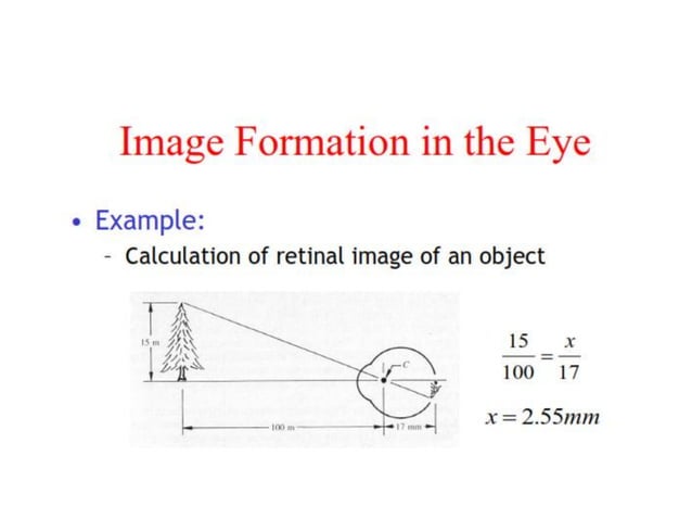 Elements of visual perception | PDF | Eye and Vision Conditions ...