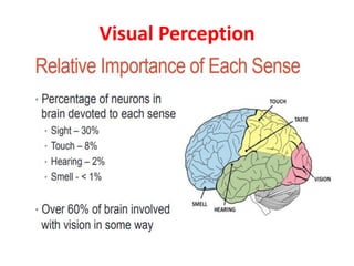 Elements of visual perception | PDF