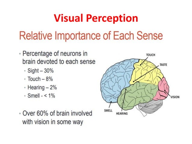 Elements of visual perception | PDF | Eye and Vision Conditions ...