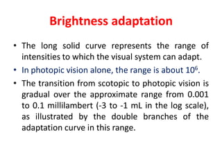 Elements of visual perception | PDF