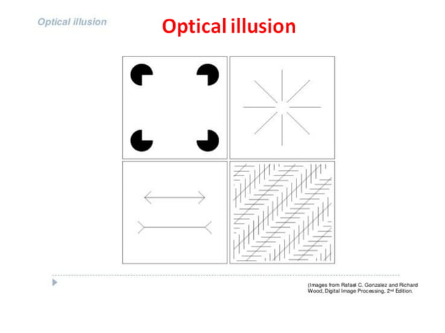 Elements of visual perception | PDF | Eye and Vision Conditions ...