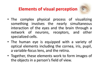 Elements of visual perception | PDF | Eye and Vision Conditions ...