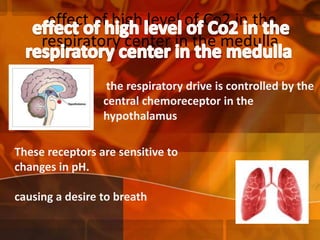 Drinking alcohol + respiratory system | PPTX
