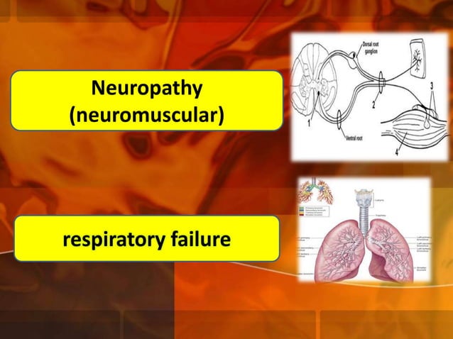 Drinking alcohol + respiratory system | PPTX