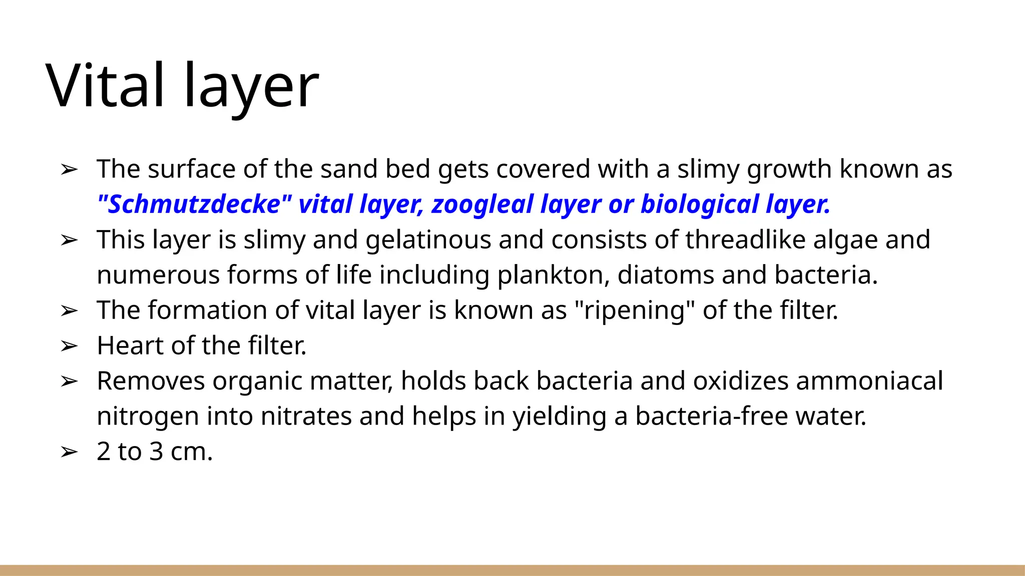 Drinking Water Standards and Treatment.pptx