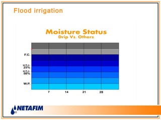 Advantages of Drip Irrigation | PPT