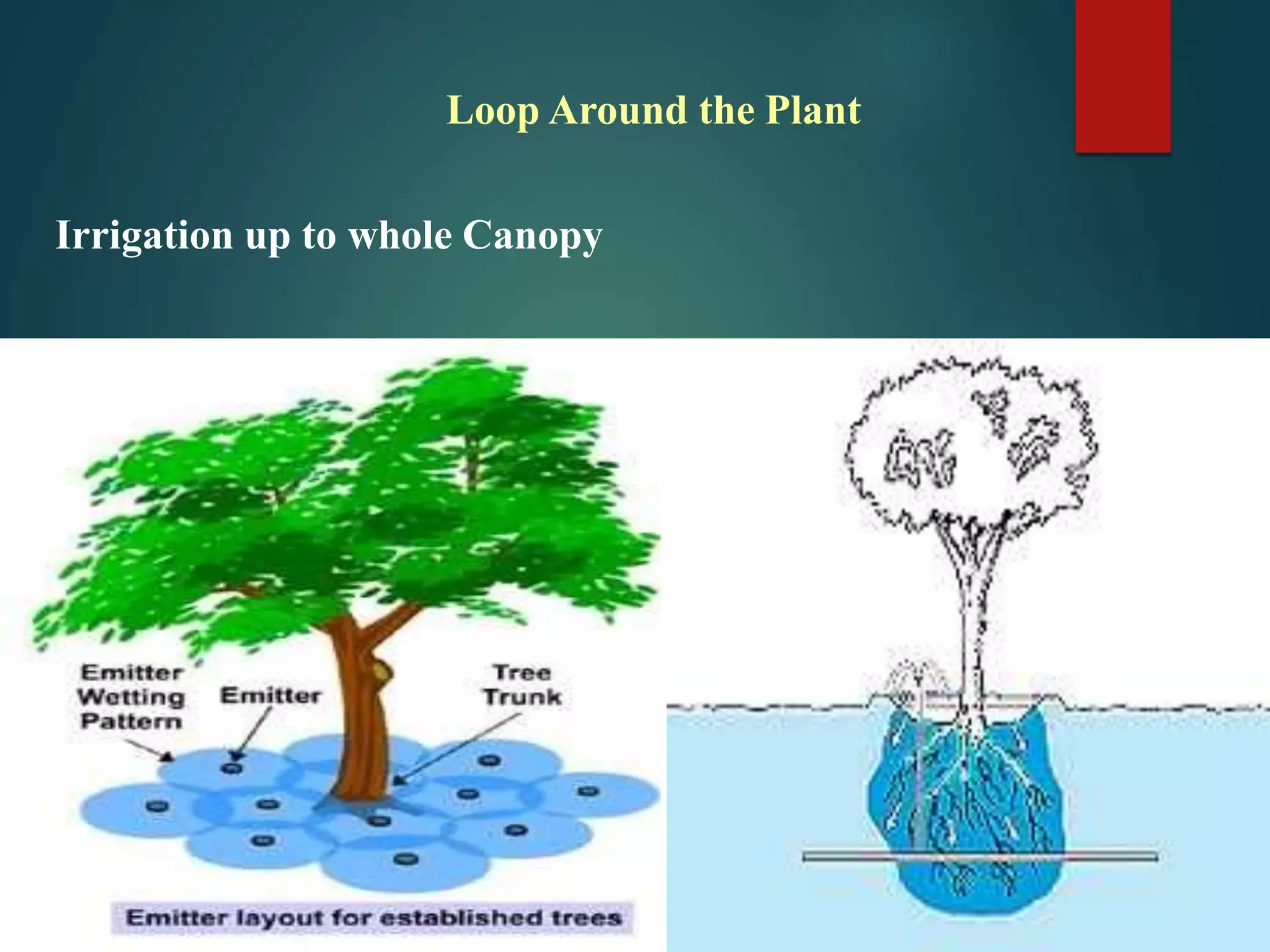 Drip design ppt. | PPTX