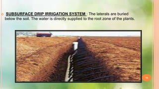 DRIP IRRIGATION | PPTX