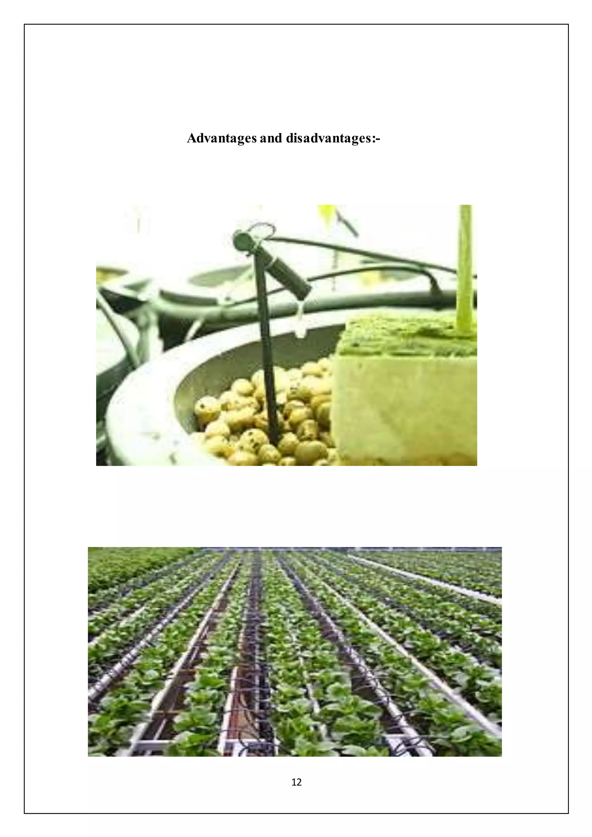 REPORT FILE ON DRIP IRRIGATION | DOCX