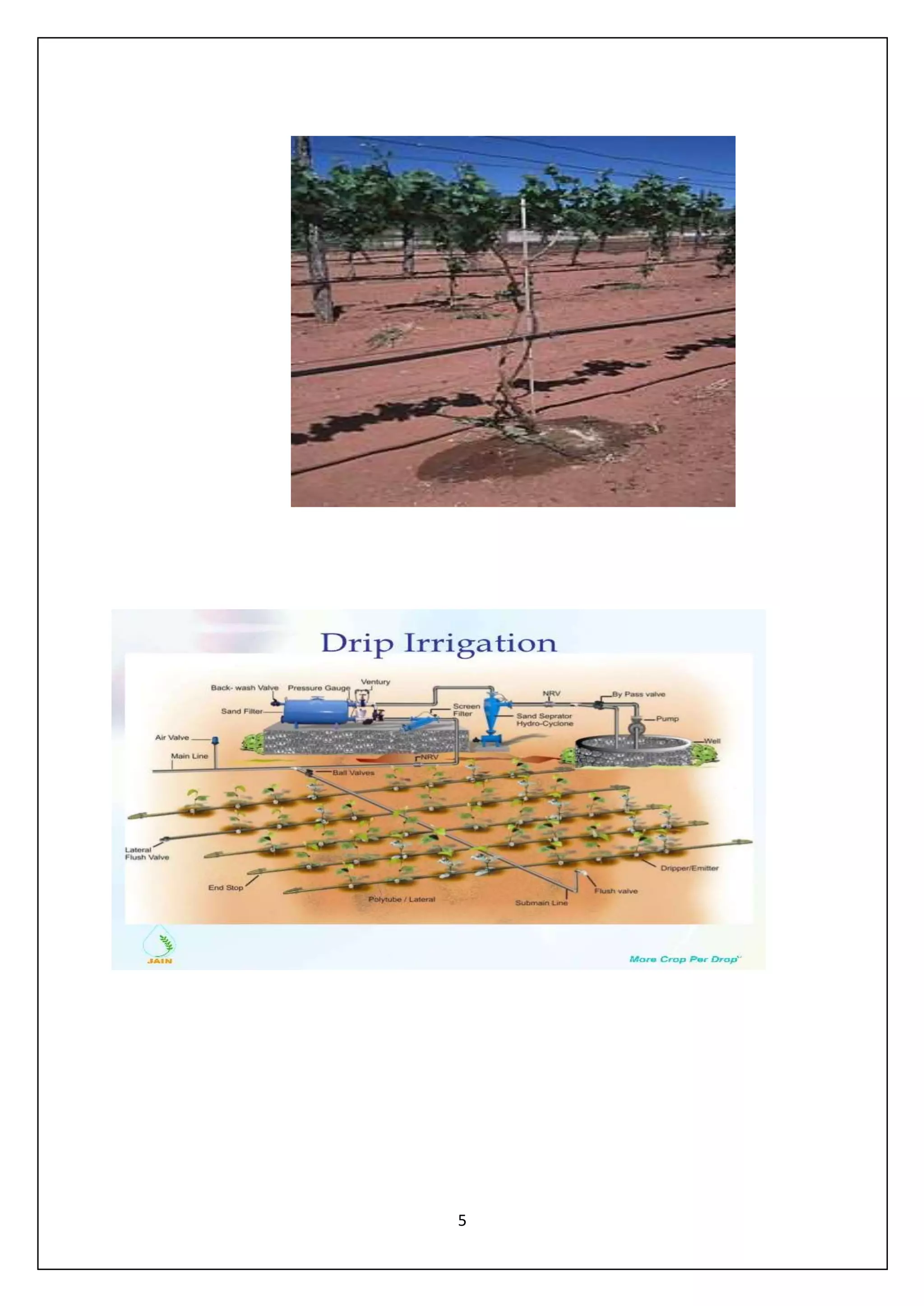 REPORT FILE ON DRIP IRRIGATION | DOCX