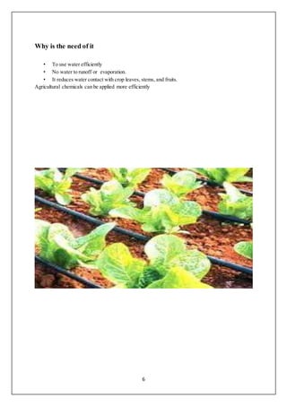 REPORT FILE ON DRIP IRRIGATION | DOCX
