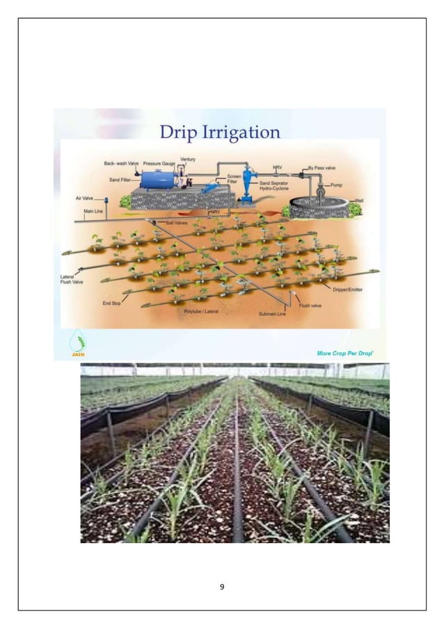 REPORT FILE ON DRIP IRRIGATION | DOCX | Agriculture | Industries