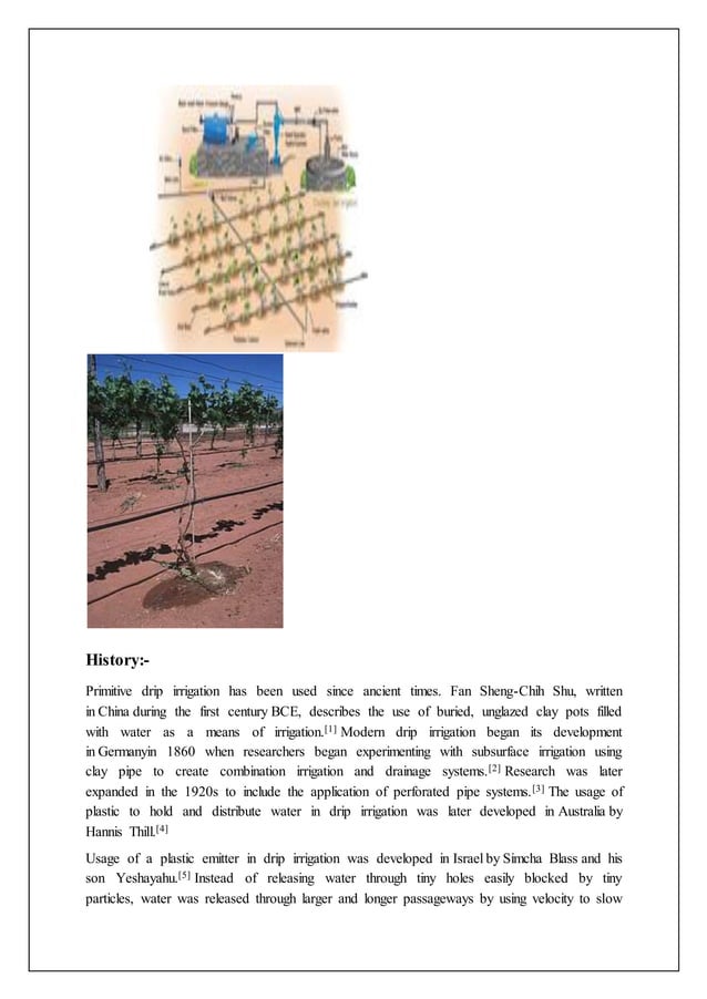 Drip irrigation | DOCX | Agriculture | Industries