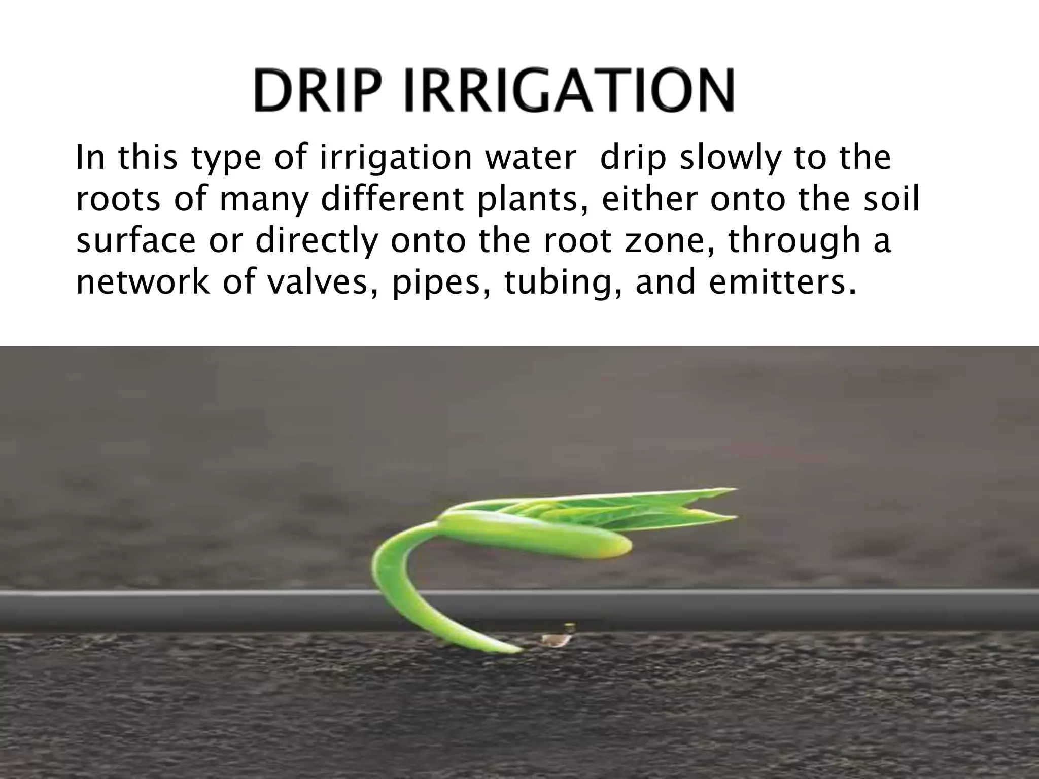 Drip irrigation | PPT