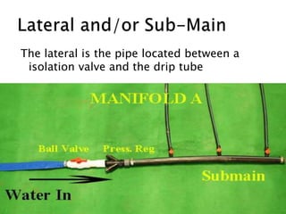 Drip irrigation | PPT
