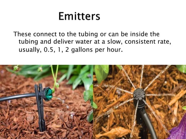 Drip irrigation | PPT