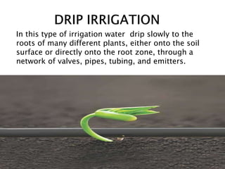 Drip irrigation | PPTX