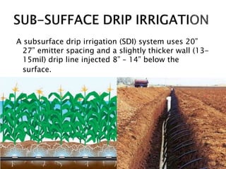 Drip irrigation | PPT