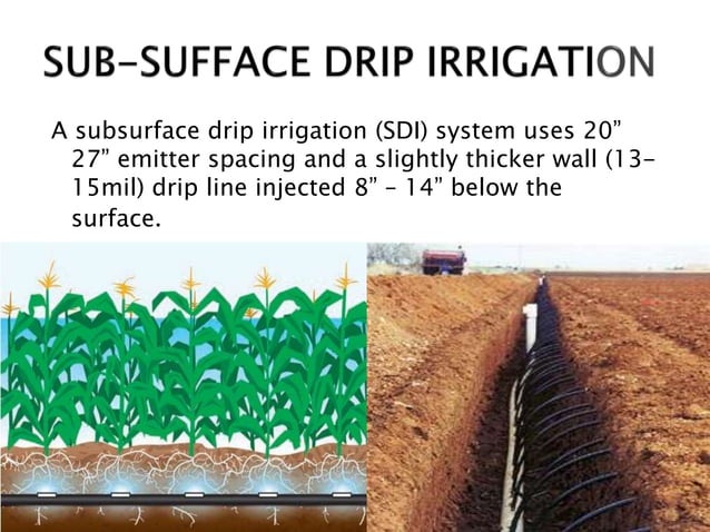 Drip irrigation | PPT