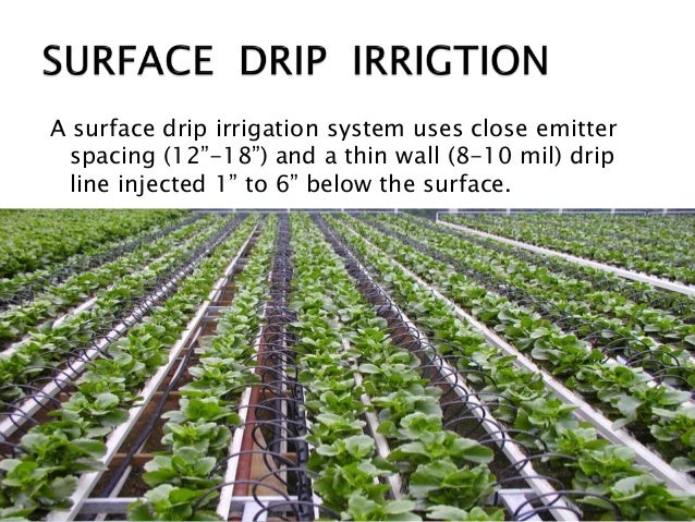Drip irrigation