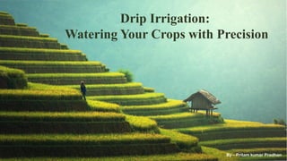 DRIP IRRIGATION.pdf