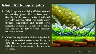 DRIP IRRIGATION.pdf