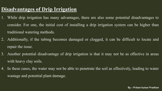 DRIP IRRIGATION.pdf