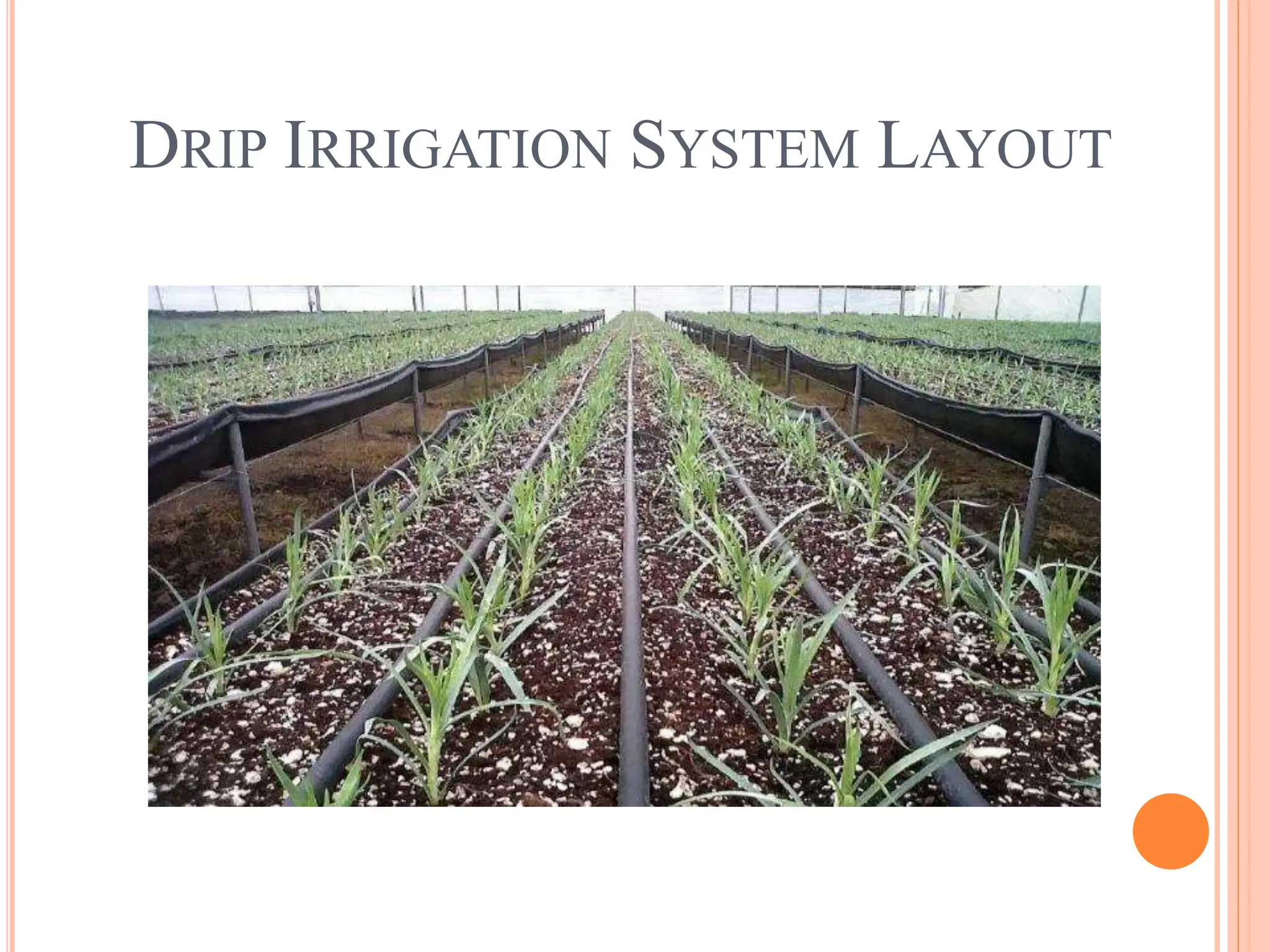 Drip irrigation is a micro irrigation method | PPTX