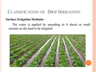 Drip irrigation is a micro irrigation method | PPTX